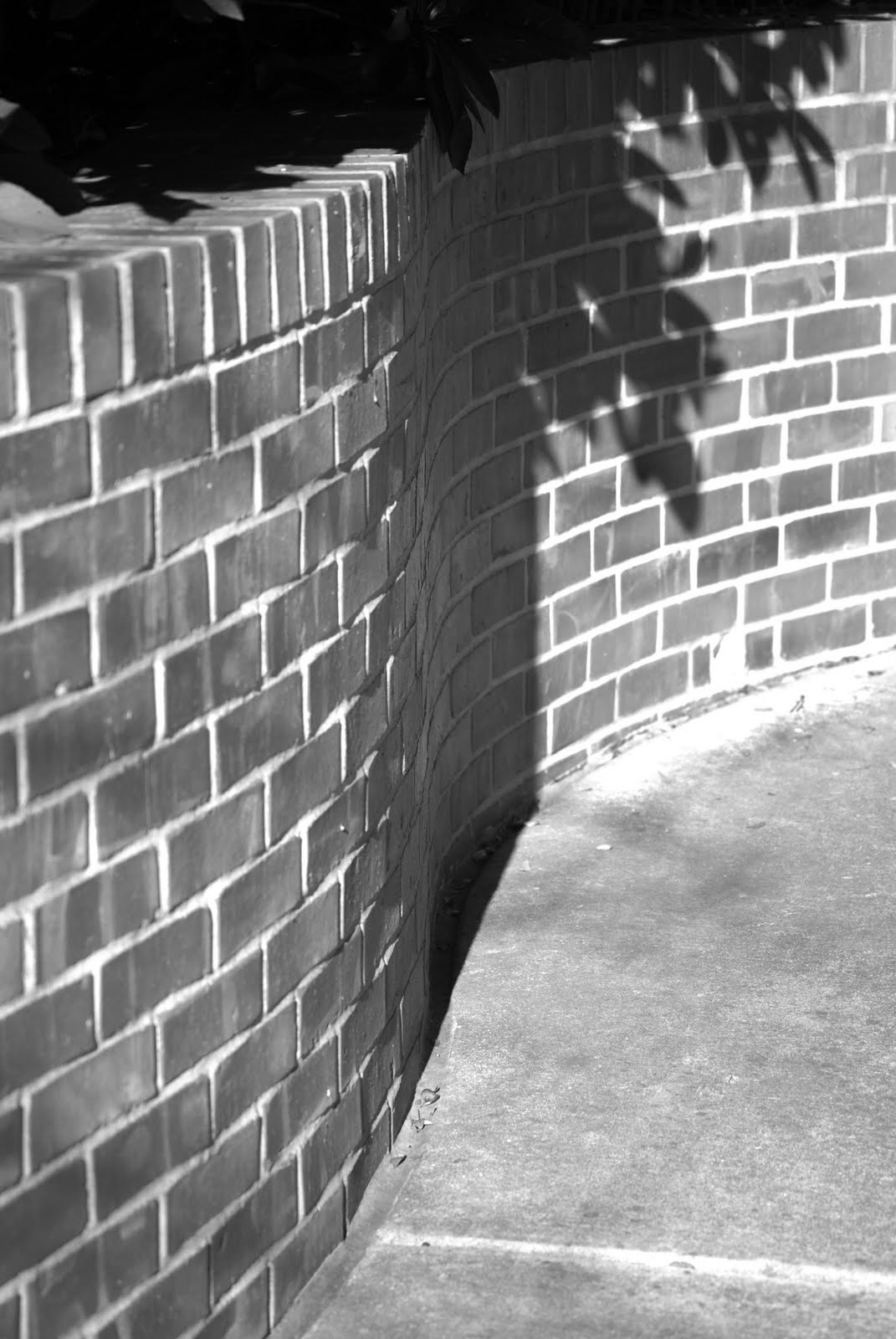 Digital Photography Spring 2010: Shape/Form Composition