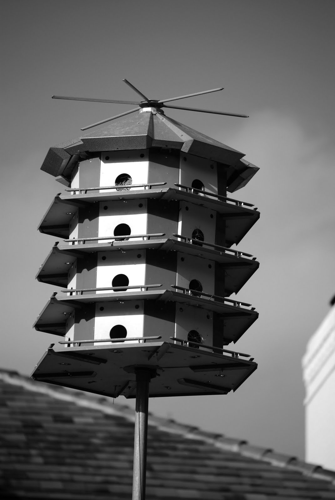 Digital Photography Spring 2010: Shape/Form Composition