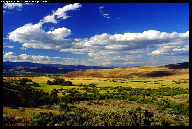 The Artist Experience: Preserved Nature