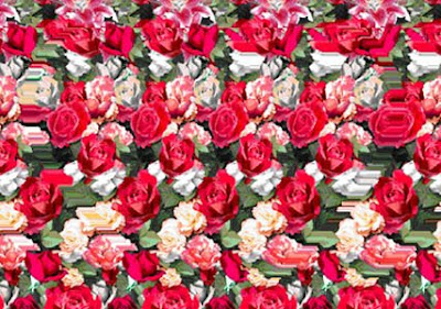 3D Stereograms (ත්‍රිමාණ සැඟවුනු රූප) ~ මාධවගේ බ්ලොග් සටහන් | Madhawa's ...