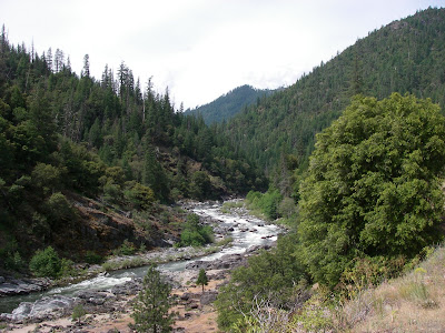 Chris Dickinson: 1 June 09 Scott River, N.California