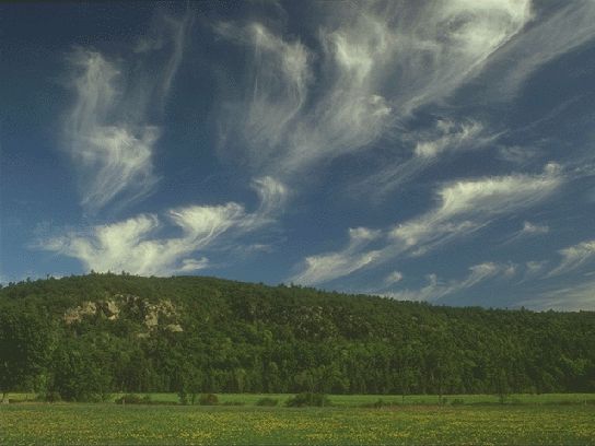 6 preciosas fotografías de nubes Cirrus | Tormentas y Ciudades