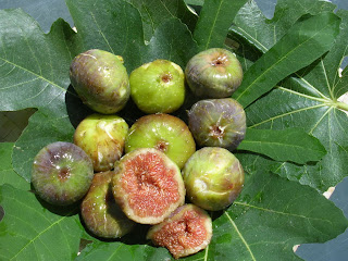 MY KITCHEN IN SPAIN: SUMMER IN FULL FIG