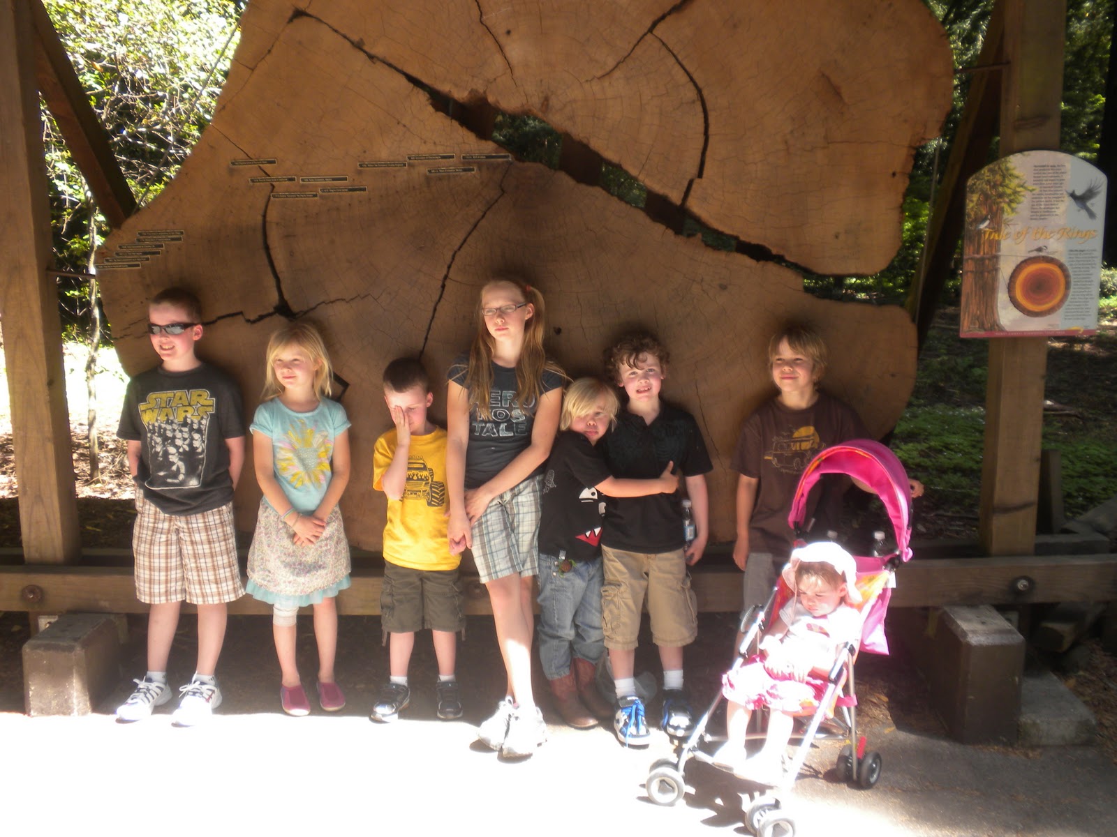 Lily Crowder: Crowder 2010 highlights.