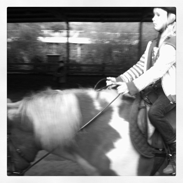 Lily Crowder: Crowder 2010 highlights.