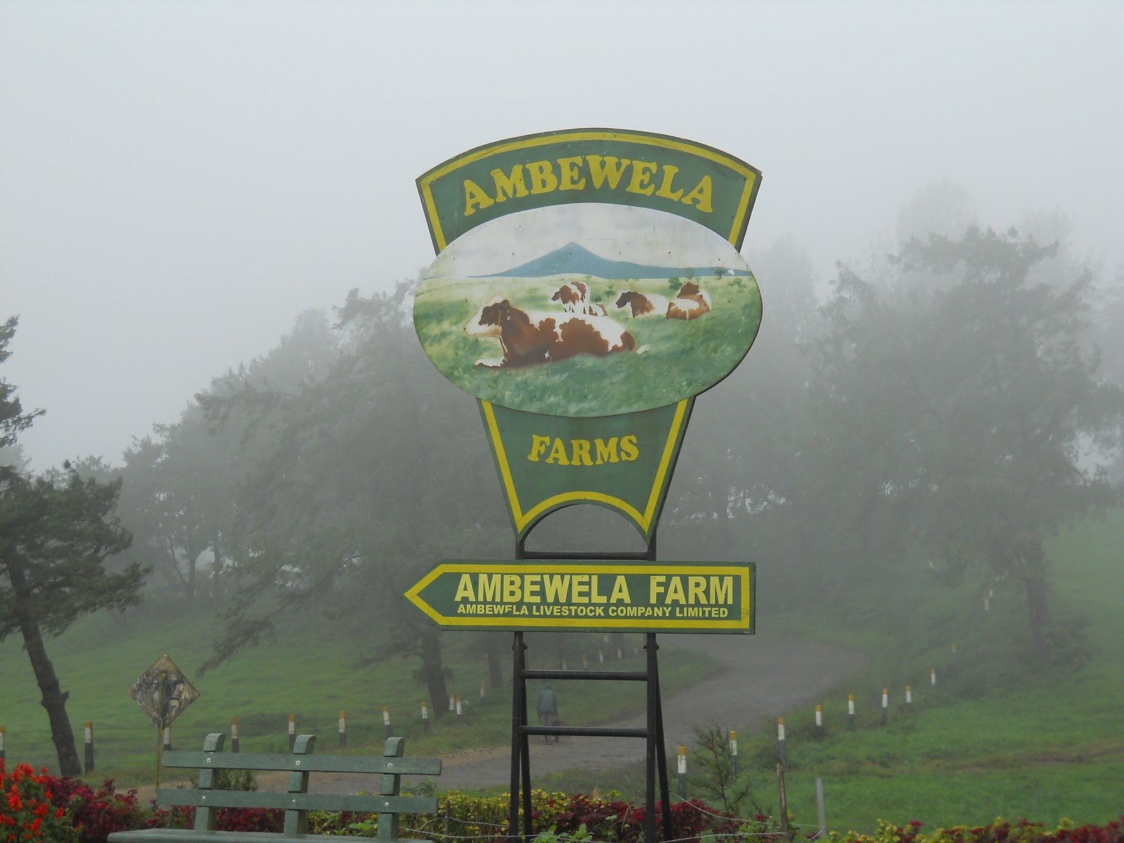 Photographed by Ash..