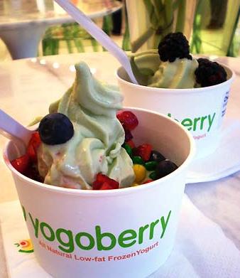 coisas do mundo: Yogoberry,no Alto Verão!