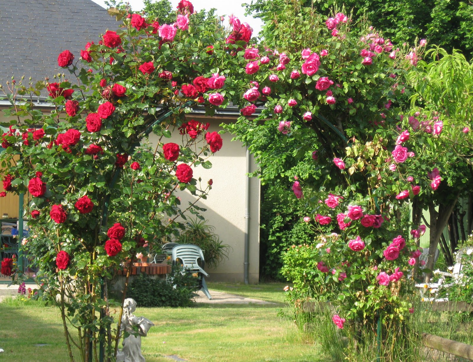 LE JARDIN DE VIVIANE: La pergola aux roses