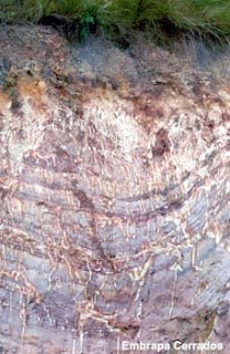 Tipos de solo | O Portal do Estudante