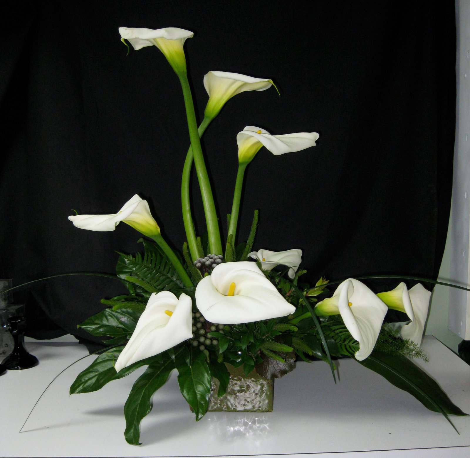 LeLe Floral: White Calla Lilies