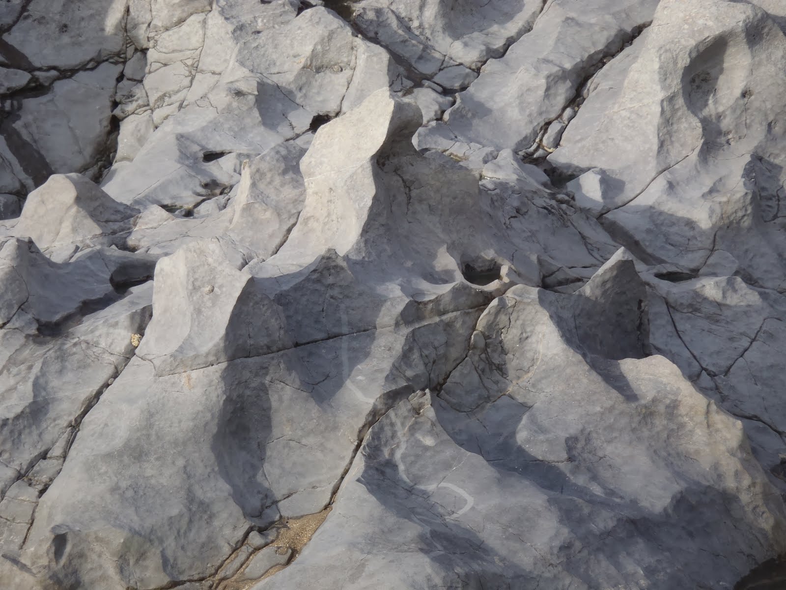 ForeverYoung: Lydstep Head