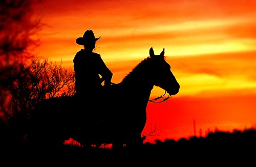 Sunset Cowboy Pictures ~ My Park