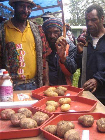 Malum Nalu: New vegetable project for Tambul