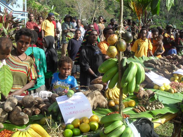 Malum Nalu: Timely help for Goilala farmers