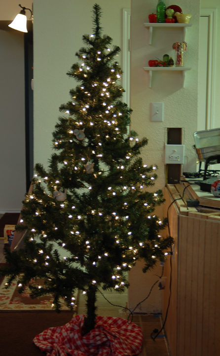 Some Really Neat Stuff: I'm not Decorating for Christmas This Year