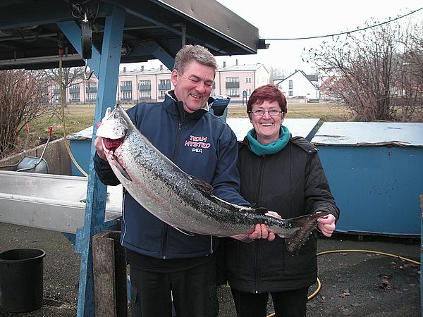 ..Team Cjap..: Første guldlaks i år blev dansk