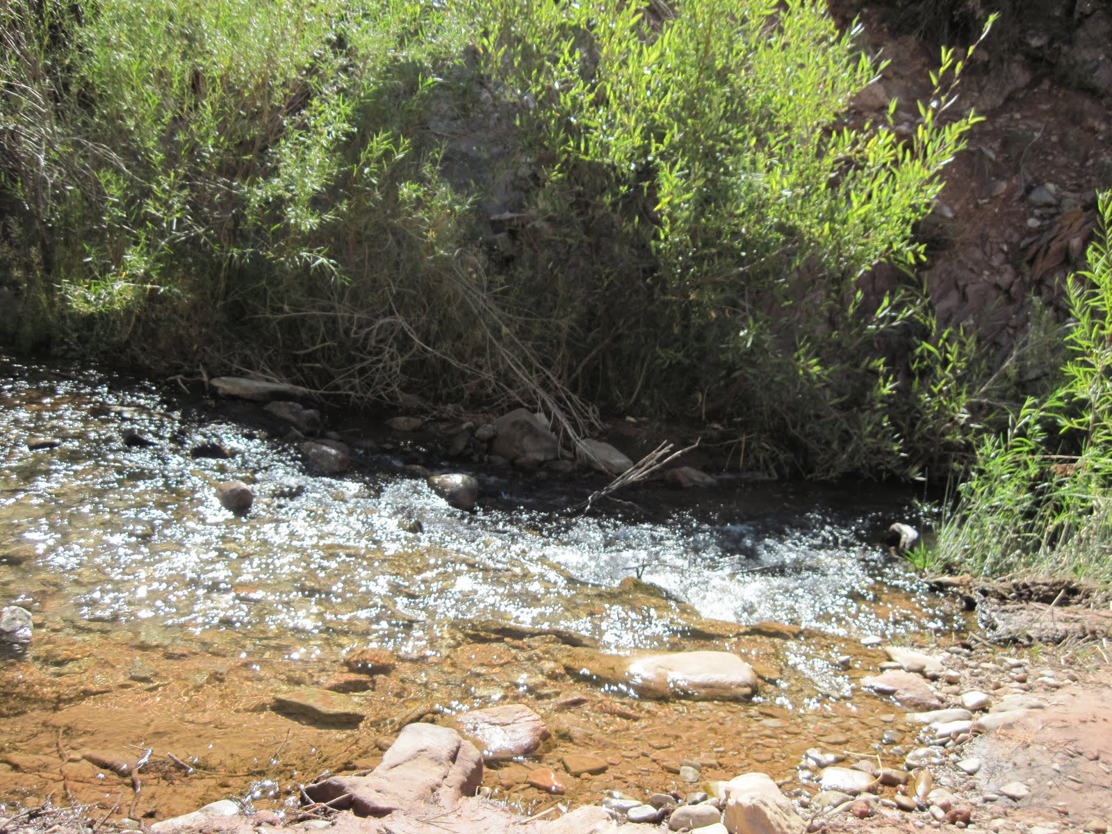 Tom & Deb's Hiking (and other life) Adventures!: September 14, 2010 ...