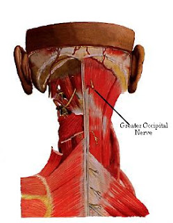 Dr. Gearmasher to you: Sub-Occipital Triangles and Shoulder ROM