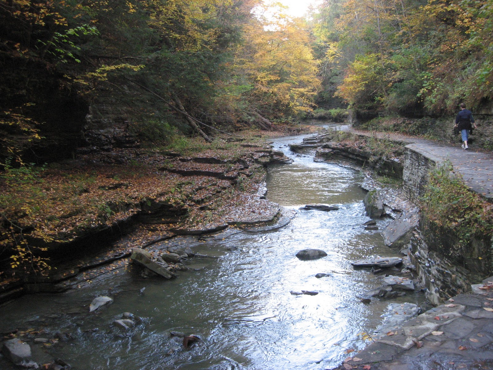 New Jersey Oma: More upstate New York