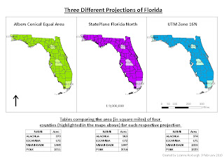 Lizanne's Applications in GIS Blog: WEEK 4 LAB: PROJECTIONS OF FLORIDA