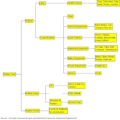 Rubber Plant: Rubber Plant