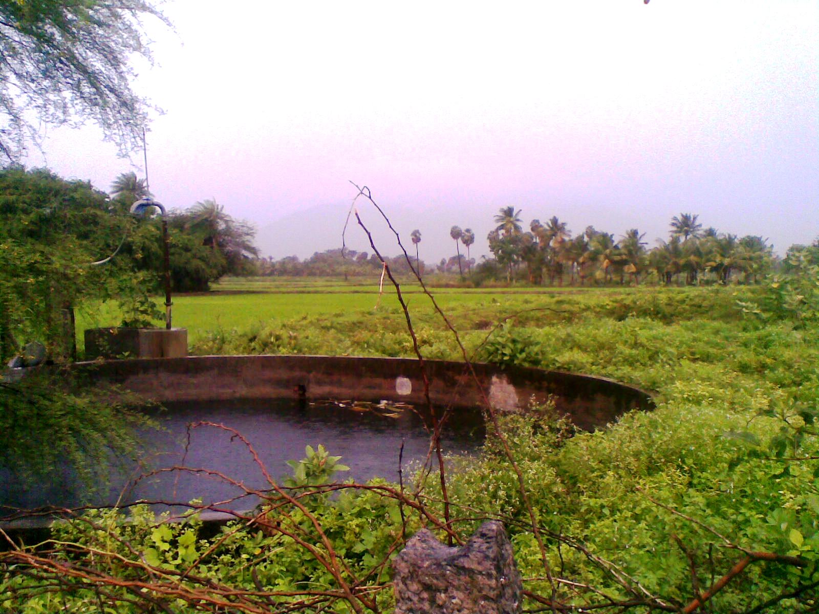 மாங்குளம் கிராமம் உங்களை வரவேற்கிறது[MANGULAM VILLAGE WELCOMES YOU ...