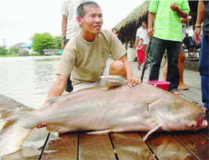 senso della vita: Il Pangasio