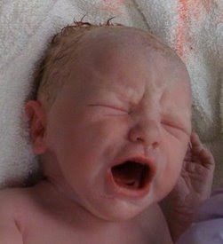 Kleefeld on Comics: Welcome, Kaylee Horton!