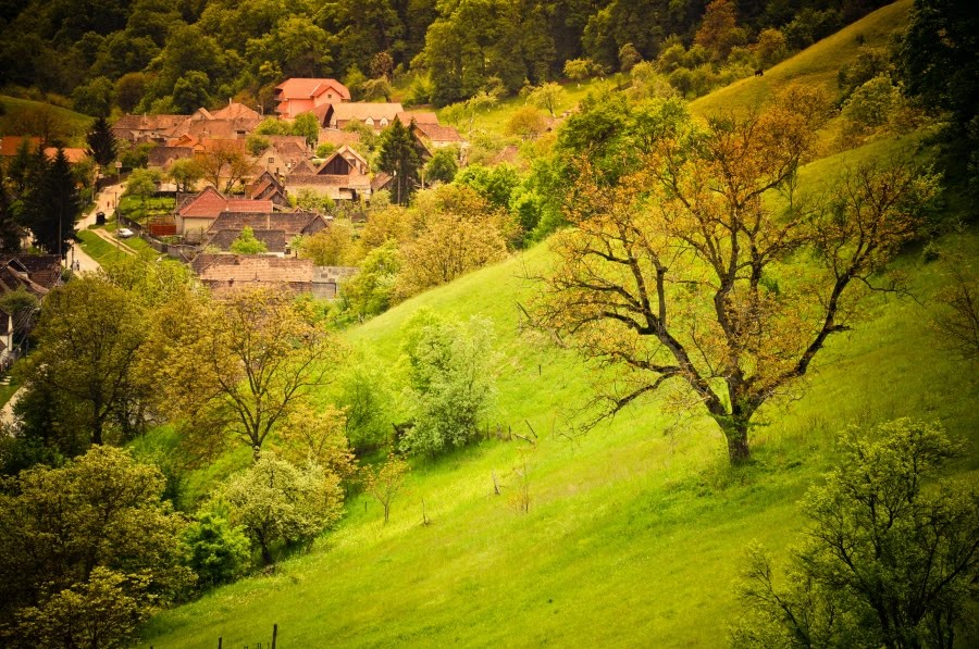 Sighisoara Transilvania - Partea 9 Pe dealuri - Dia's Blog - Dianora.ro