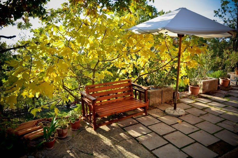 Poze Lagadin Ohrid Macedonia Octombrie 2010 - Dia's Blog - Dianora.ro