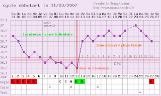 Femme et maman au quotidien: COUBE DE TEMPERATURE OVULATION