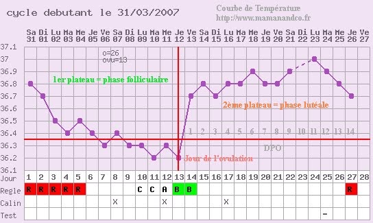 Femme et maman au quotidien: COUBE DE TEMPERATURE OVULATION