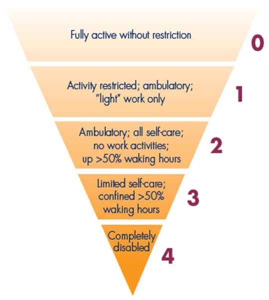 Neurologia em foco: Performance status