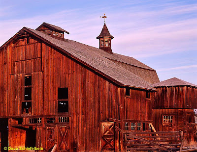 Dave Schiefelbein Photography: Raised in a barn...