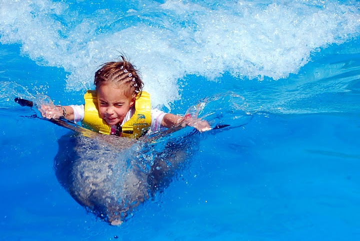 A and Bs: Riding a dolphin!!