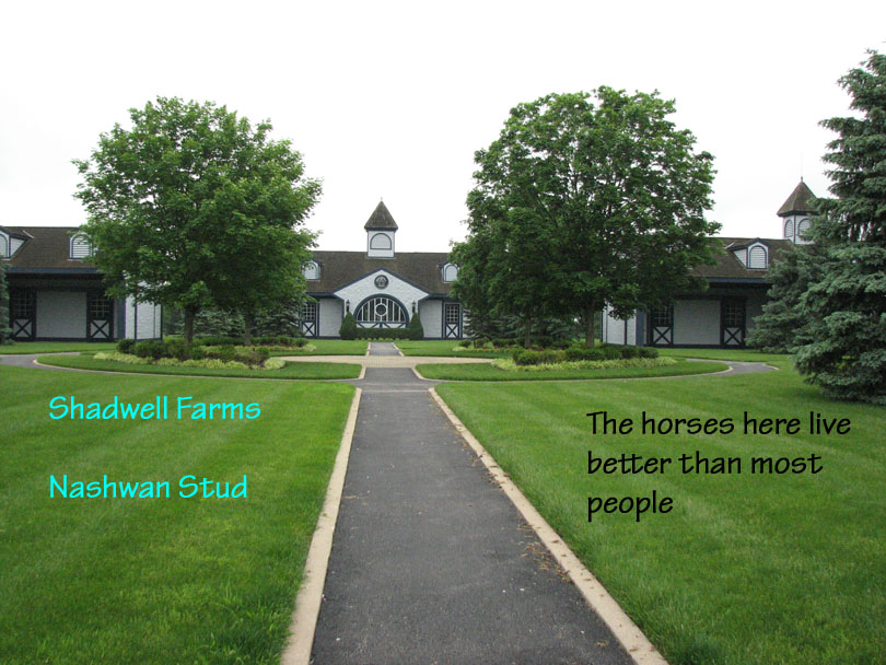 You're Invited to Travel With Us To See The USA: Lexington, Kentucky ...