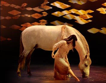 Cavalia (Miami) Jan 19-31, 2010 - My Fabulous Florida