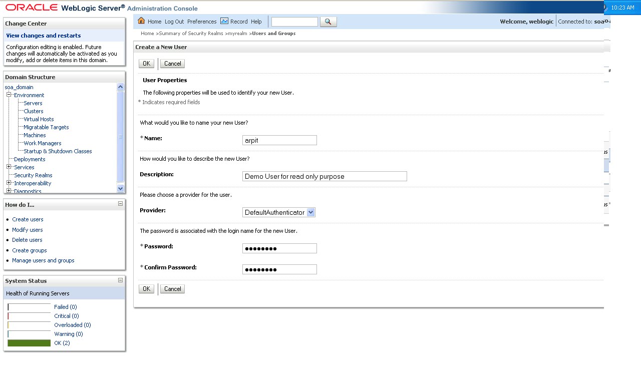 Learning Soa How To Give Read Only Roles To A User In Soa Suite