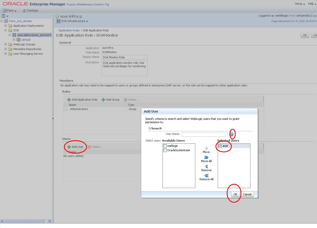 Learning Soa How To Give Read Only Roles To A User In Soa Suite