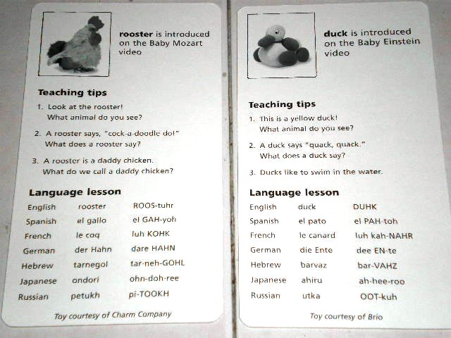 Bravo Oscar: BABY EINSTEIN Language Discovery card