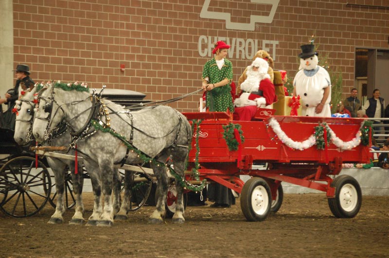 World Percheron Congress 2014