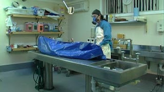 fishfingerbutty: I QUIT....