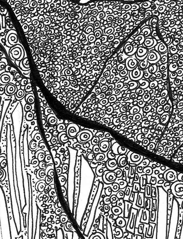 Adventures in Peru: Drawings