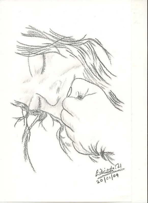 art lovers: sorrow.... charcoal pencil drawing