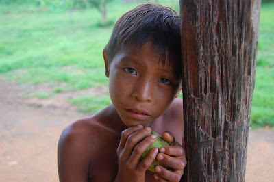 The Brauns in Brazil: Yanomami Pictures