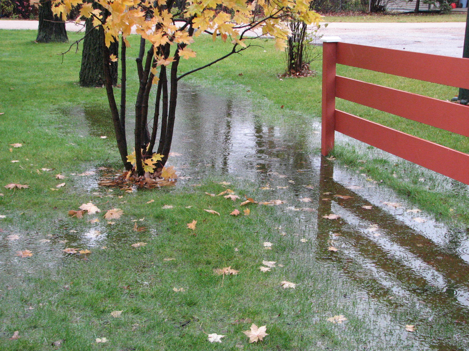 Past Life Awakenings: Wet Fall Day