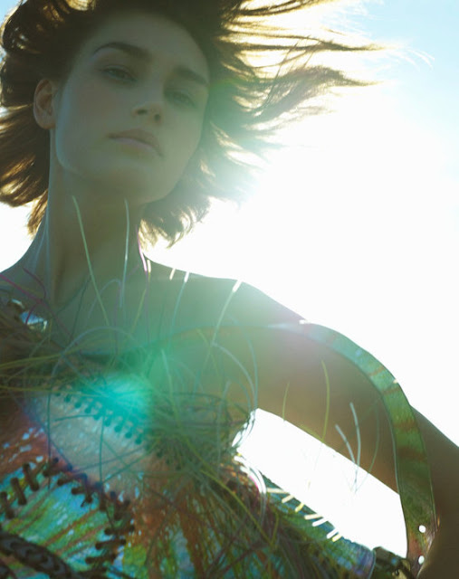 Lovingly Simple: Max Cardelli....