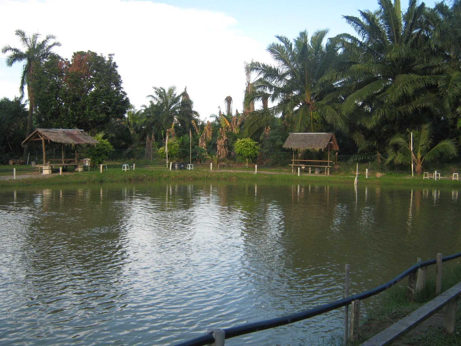 Homestay Kampung Sungai Lang Tengah, Banting Kuala Langat Selangor.