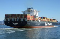 ORO NIEUWS Knokke-Heist: Extra grote MSC Danit voor onze kust