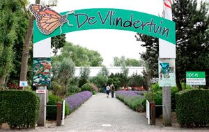 ORO NIEUWS Knokke-Heist: Vlindertuin ruimt de plaats voor een verkaveling